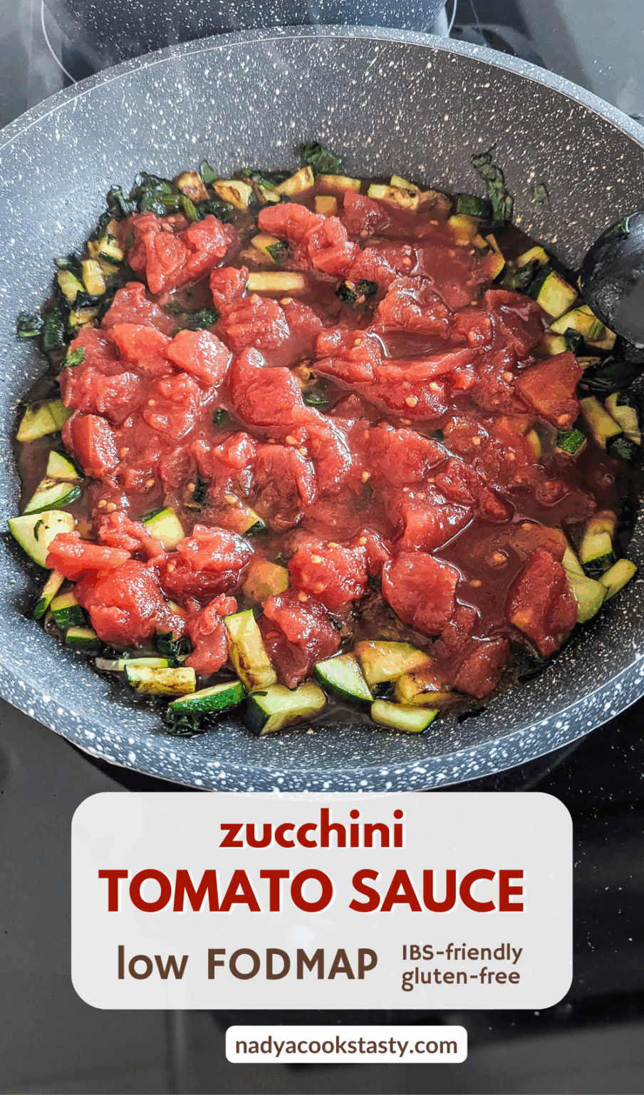 Low FODMAP Tomato Sauce With Zucchini (IBS-Friendly, Gluten-Free, Vegan ...